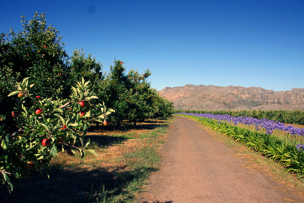 Das Geheimnis mitten in den Zedernbergen – MOUSECLICK.COM | Alexander's ...